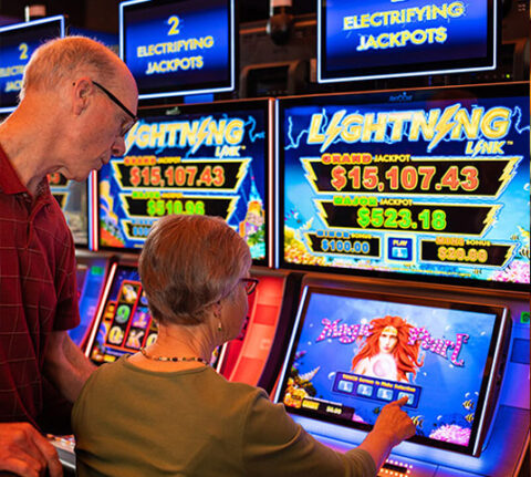 Traverse City Horse Show - Turtle Creek Casino & Hotel